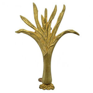 Biography John Steel "Jock" Lewes - Special Forces in World War 2